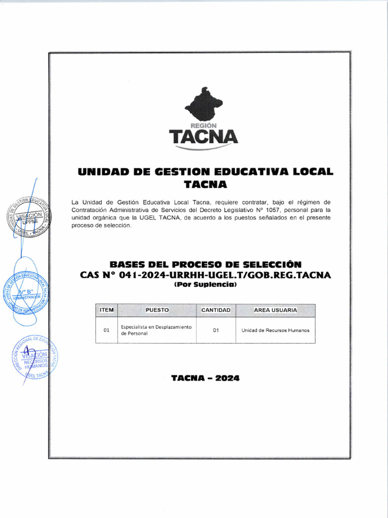 CONVOCATORIA_CAS_041-2024.pdf_file_1732648695 | PDF