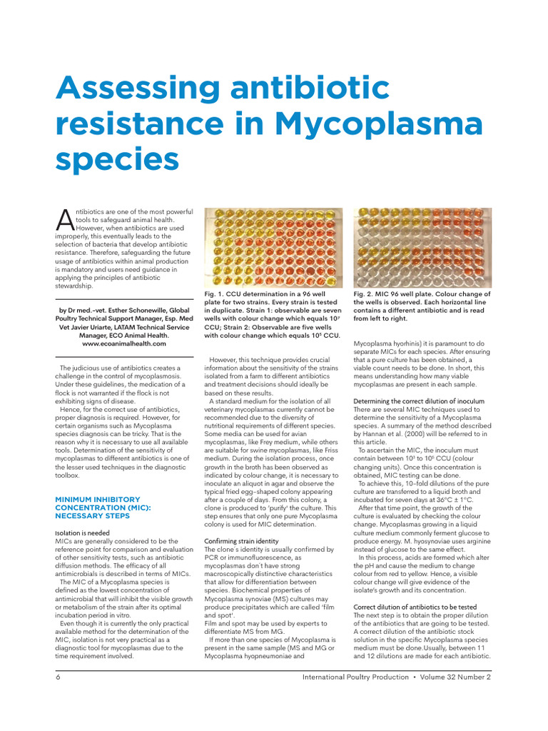 Mycoplasma Antibiotic Resistance Assessment | PDF | Microbiology ...