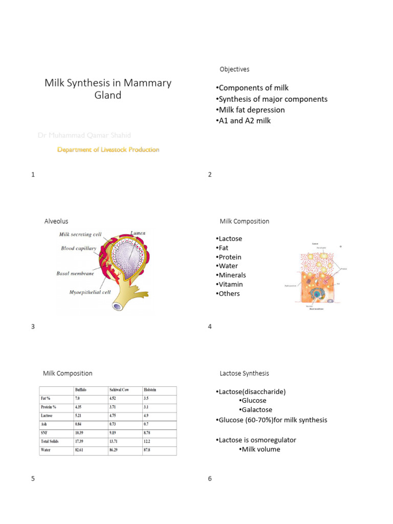 Milk Composition and Synthesis Overview | PDF | Fat | Fatty Acid