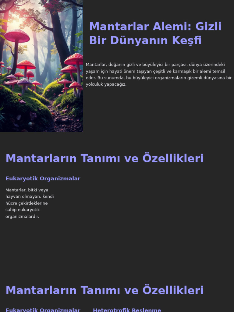 Mantarlar Alemi | PDF