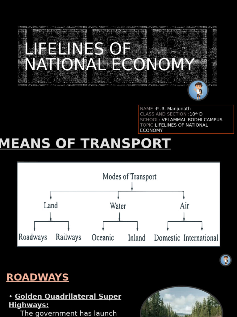 Lifelines of National Economy: Transport | PDF