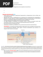 Broncodilatadores: SABA, LABA y LAMA | PDF