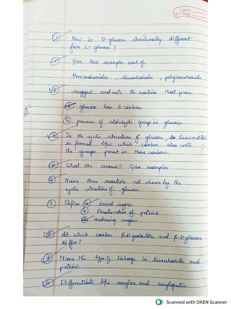 Revision Questions - XII S2 | PDF