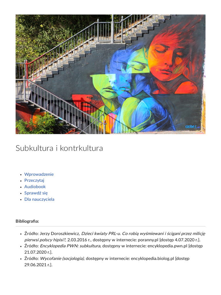 Subkultura I Kontrkultura | PDF