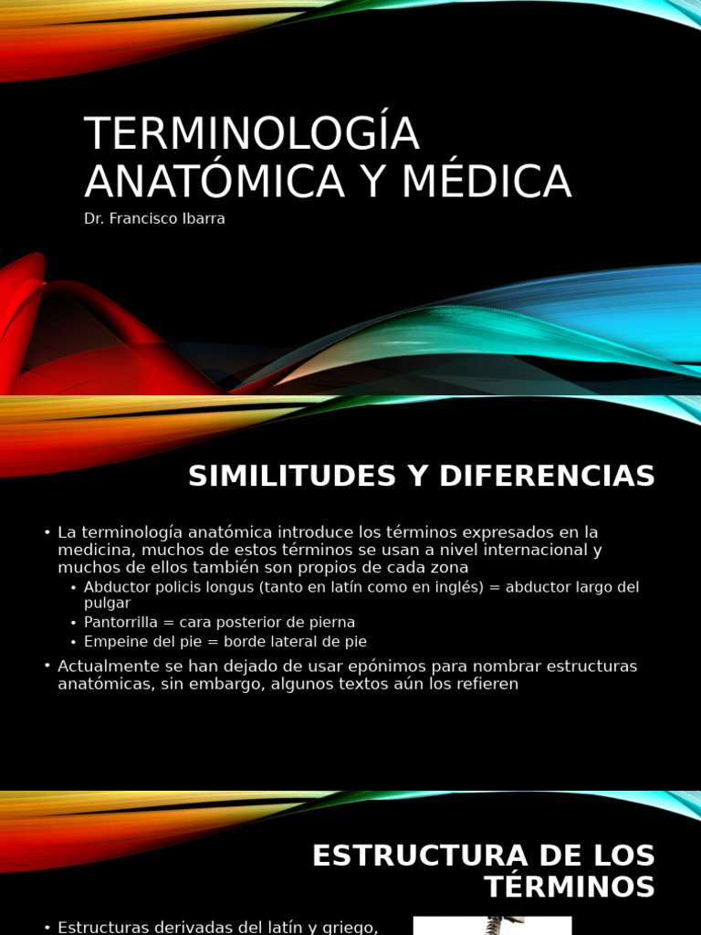Terminología Médica | PDF | Términos anatómicos de ubicación | Pie