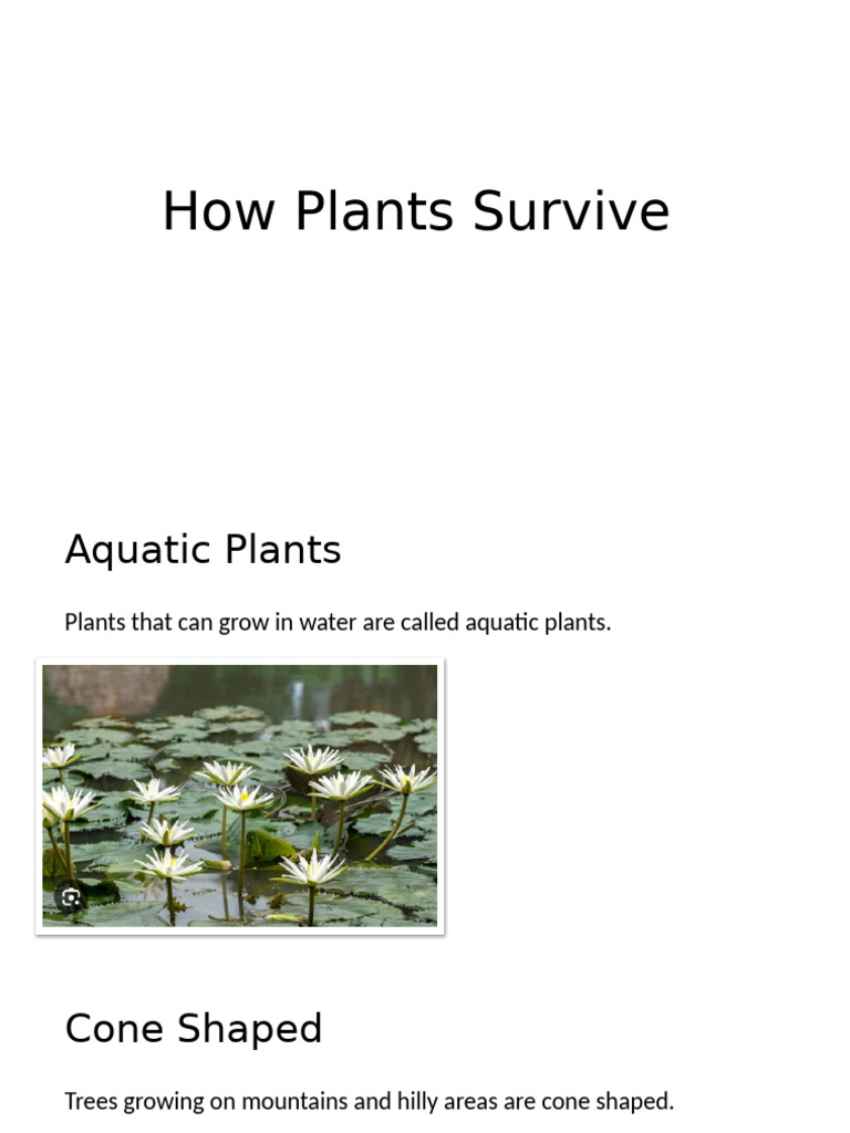 How Plants Survive | PDF