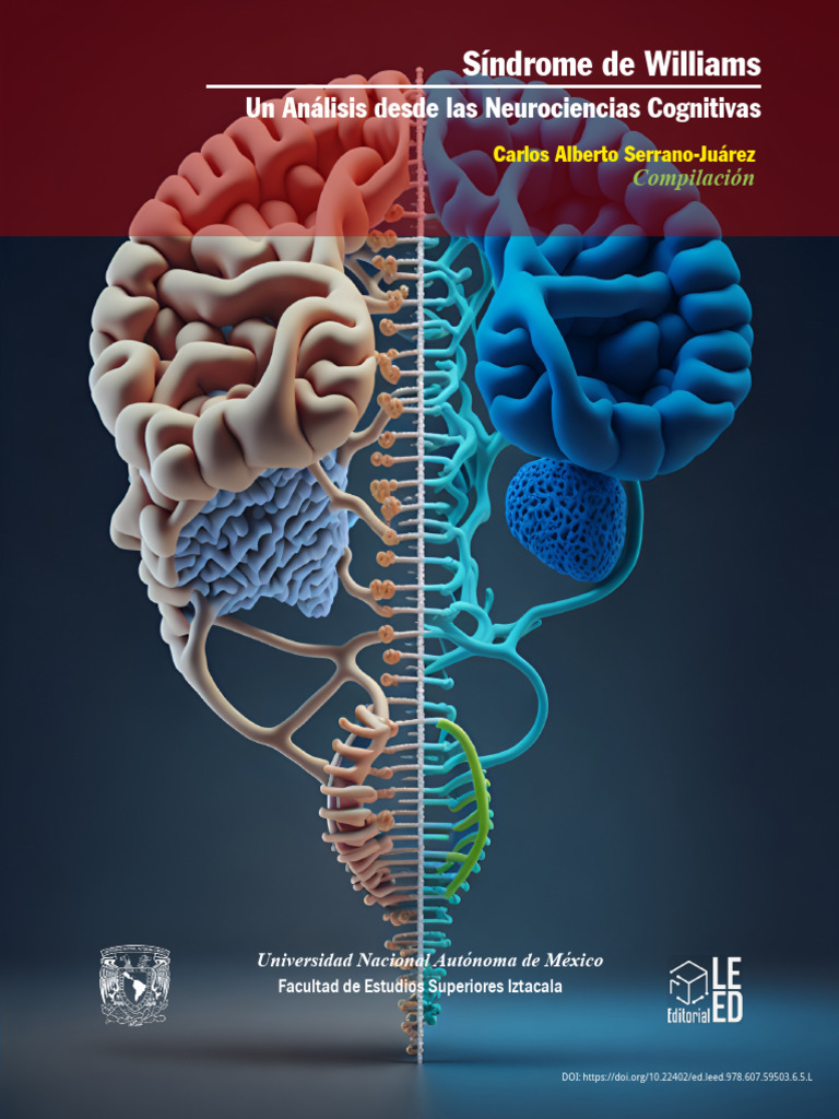 Version Final Enviada Al DR - Carlos 06 Ultima Revisada 11272024 ...