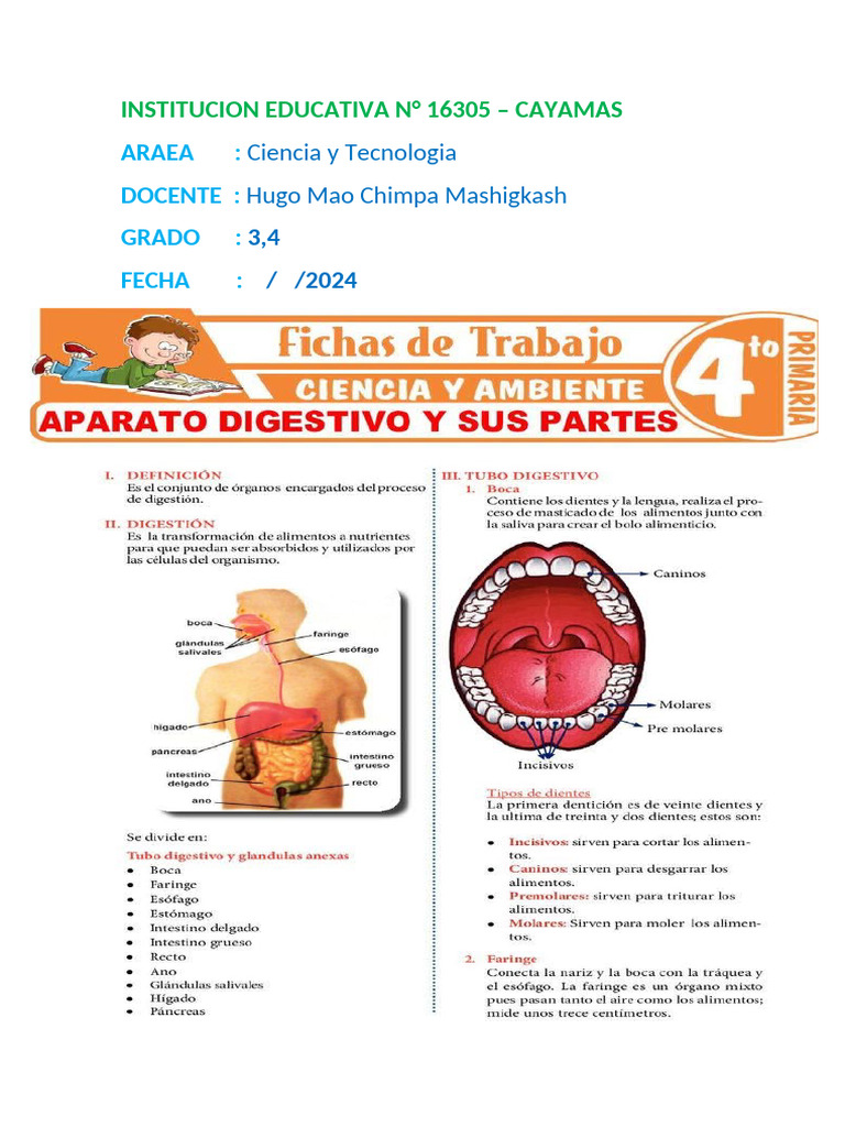 APARATO DIGESTO | PDF