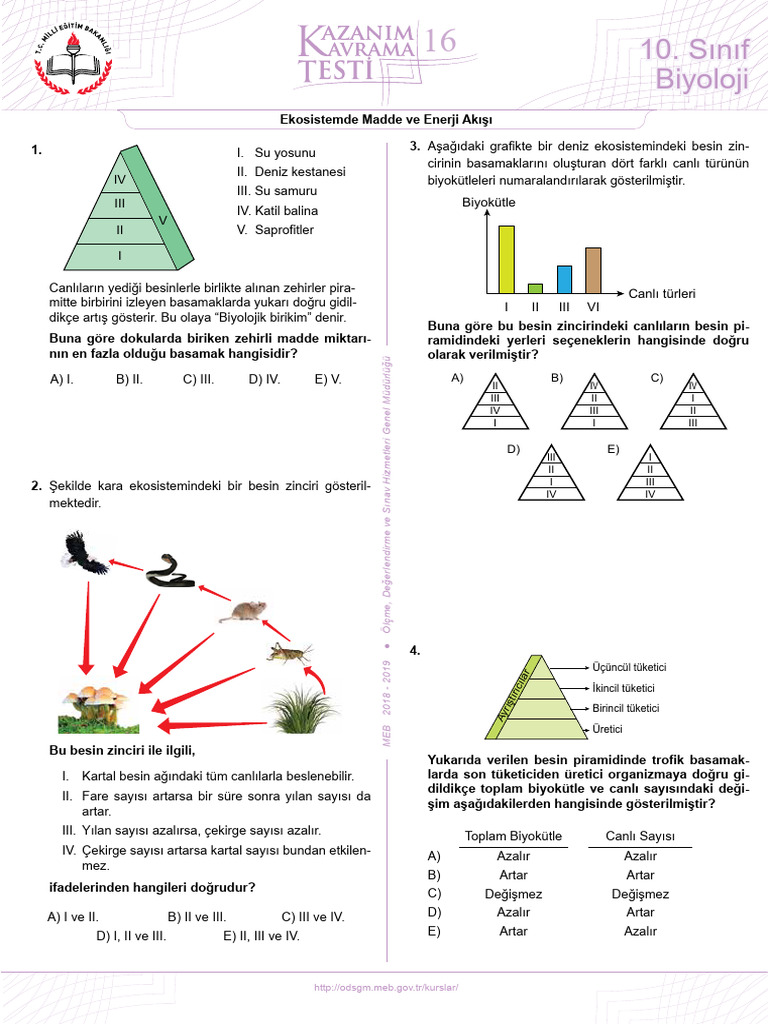 Sınıf Biyoloji: II III IV I IV II III I IV I II III III II I IV I II III IV | PDF