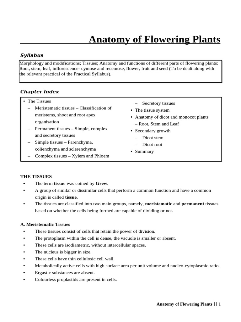 Chap-06_Anatomy of Flowering Plants (27)_E | PDF | Plant Stem | Tissue ...