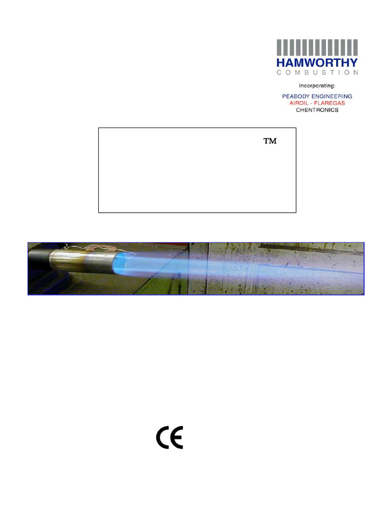 SmartPilot Manual 1.2 | PDF | Combustion | Electrostatic Discharge