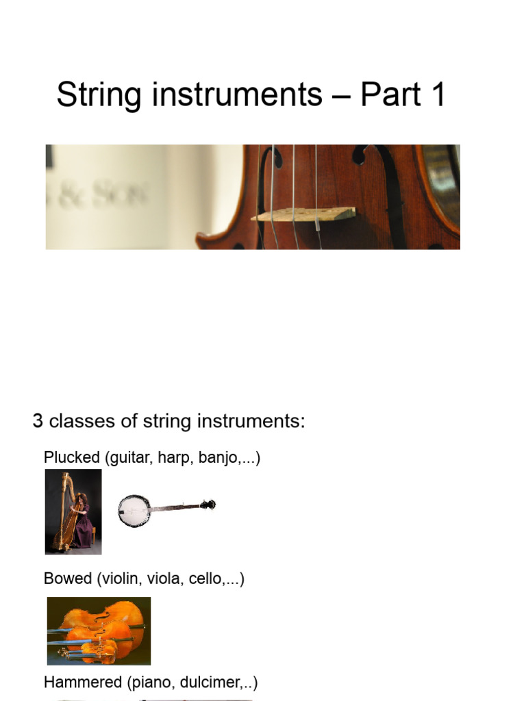 18-224 | PDF | String Instruments | Guitars