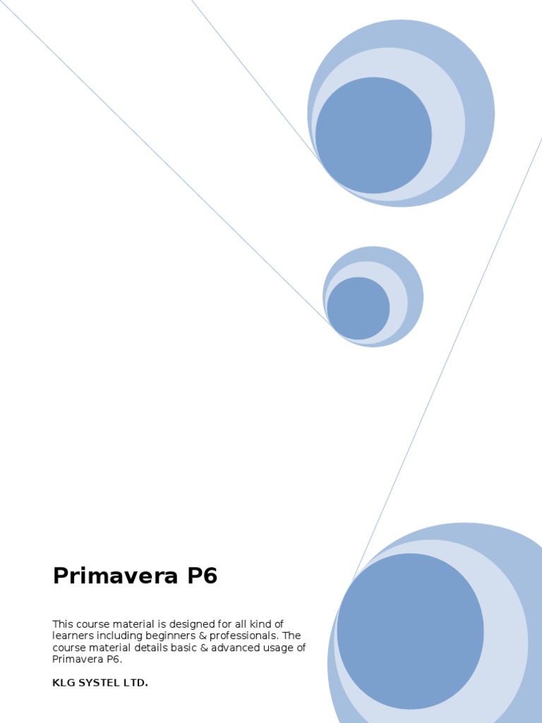 p6 Case Study Modified | PDF | Project Management | Product Development