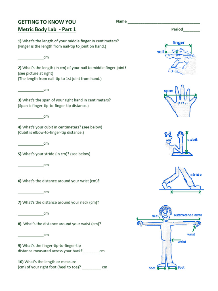 Body Measurement Lab | PDF