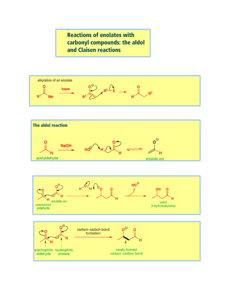 Clayden Reactions of Enolates | PDF