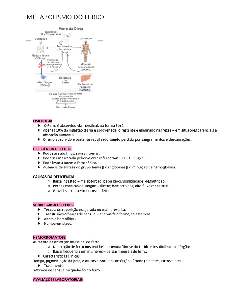 Metabolismo Do Ferro | PDF | Anemia | Ferro