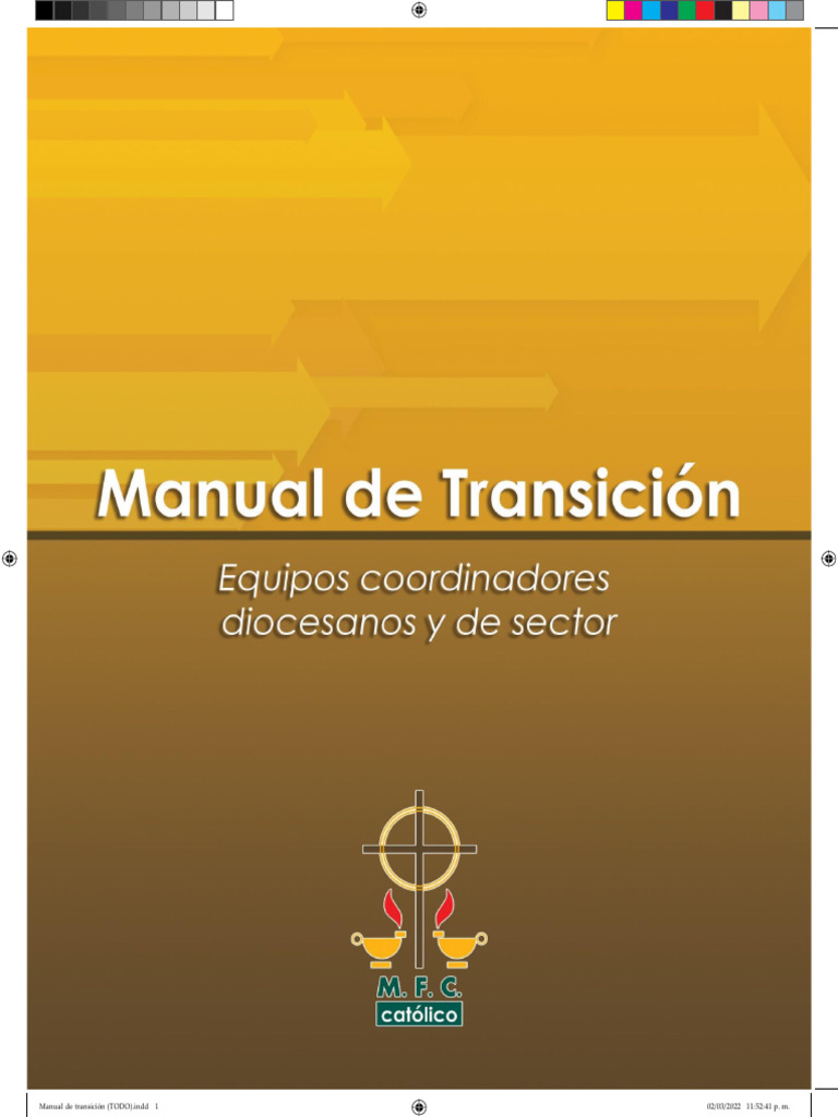 Manual de Transicion MFC | PDF