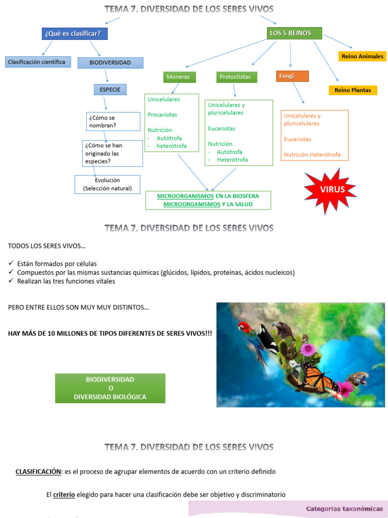 Diversidad de los Seres Vivos y Clasificación | PDF | Hongo | Organismos