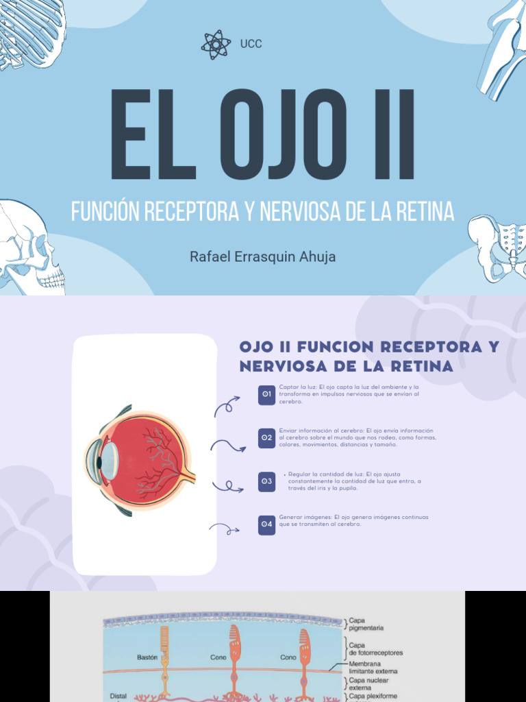 Ojo Ii | PDF