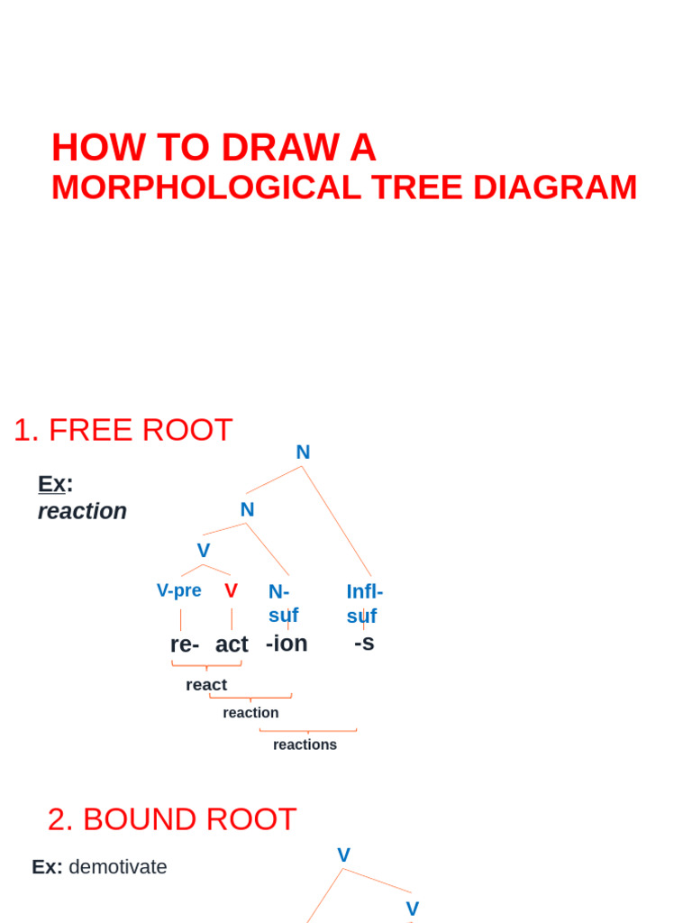 9 Tree Diagrams | PDF