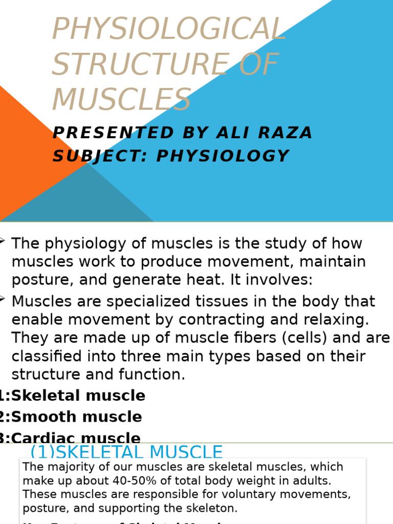 Physiological Structure of Muscles by Ali Raza | PDF | Muscle | Cardiac ...