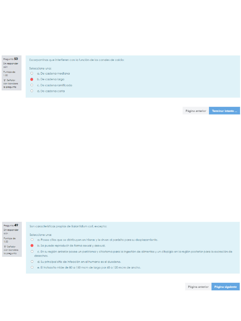 4° Parcial Micro 2024 A - CORREGIDO | PDF