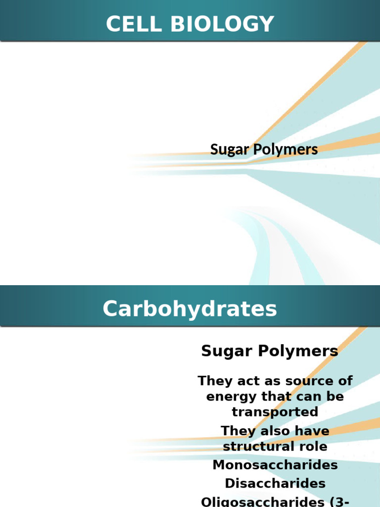 Understanding Sugar Polymers in Cell Biology | PDF