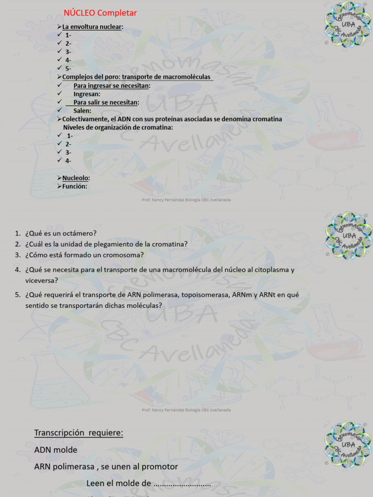 Actividades de Repaso Módulo 5 | PDF | Codigo genetico | Traducción (biología)