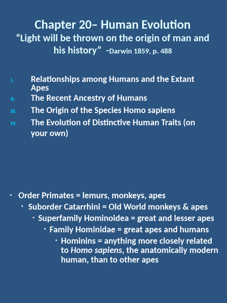 Chapter 20-Human Evolution | PDF | Homo | Ape