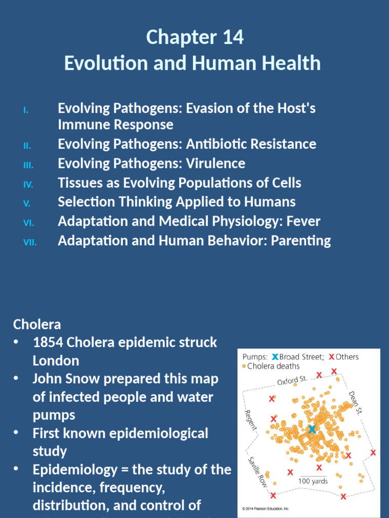 Chapter 14-Evolution and Human Health | PDF | Influenza | Infection