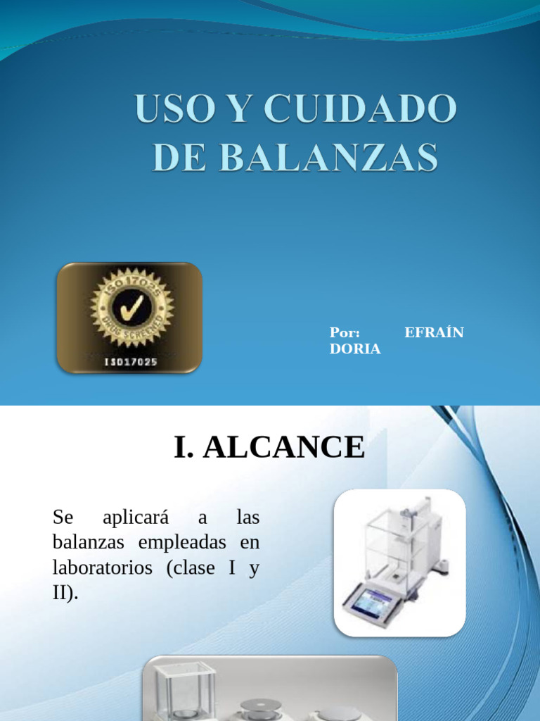 Verificación de Balanzas | PDF | Masa | Fuerza