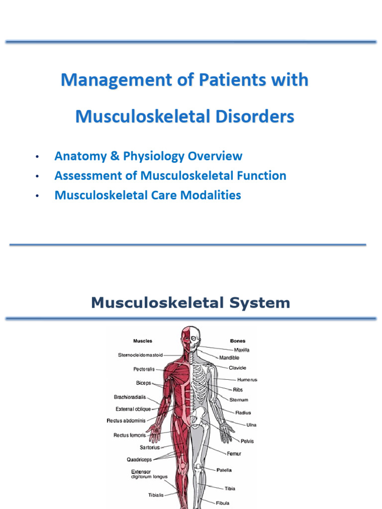 4 - Musculoskeletal System | PDF | Bone | Hip