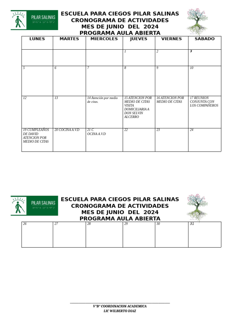 Cronograma de Actividades Junio | PDF