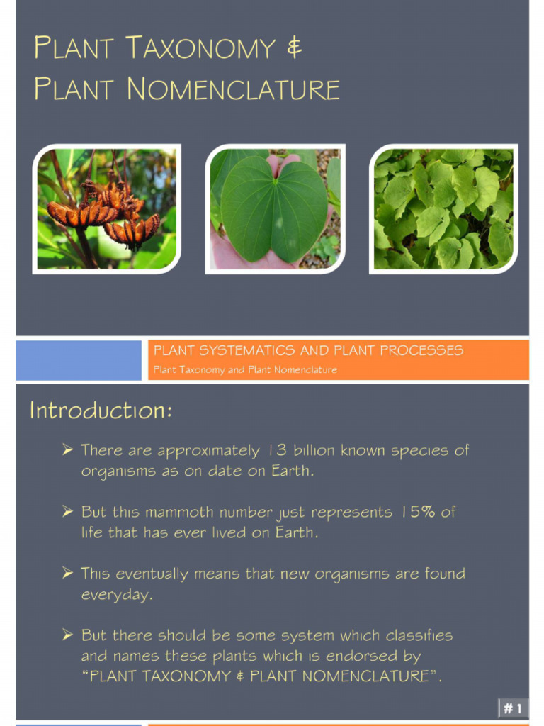 Plant Taxonomy | PDF | Plant Taxonomy | Taxonomy (Biology)