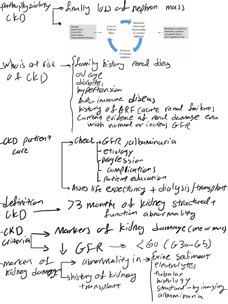 CKD Screening and Delaying Progression | PDF | Chronic Kidney Disease ...