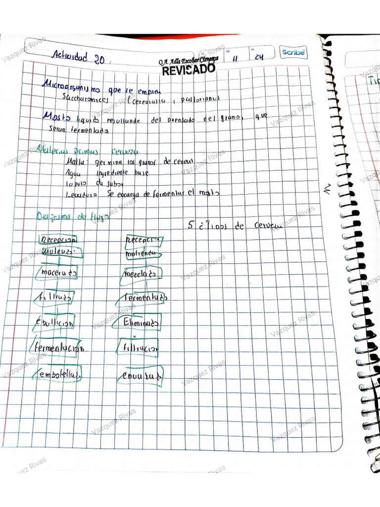 Vazquez Rivas Kevinalexis A20 | PDF