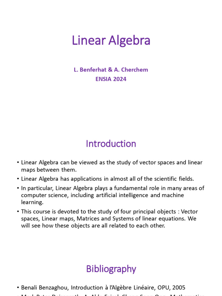 Vector Spaces, Lecture 1 | PDF | Basis (Linear Algebra) | Vector Space