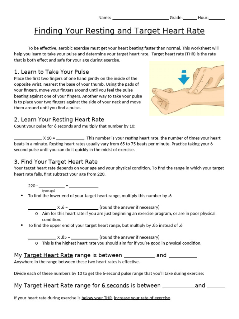 Heart Rate and Workload Worksheet | PDF | Heart Rate | Pulse