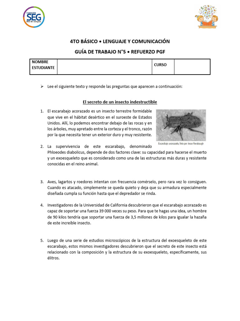 Guía Repaso 4to | PDF | Escarabajo | Insectos
