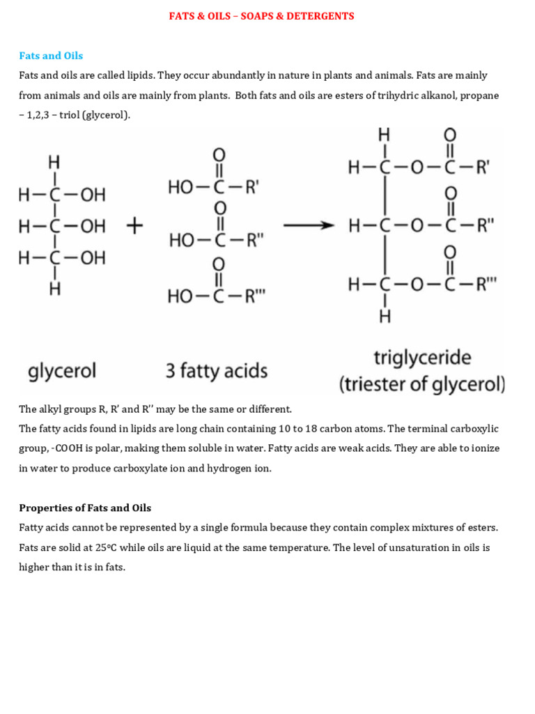 Fats, Oils, and Soap Production Guide | PDF