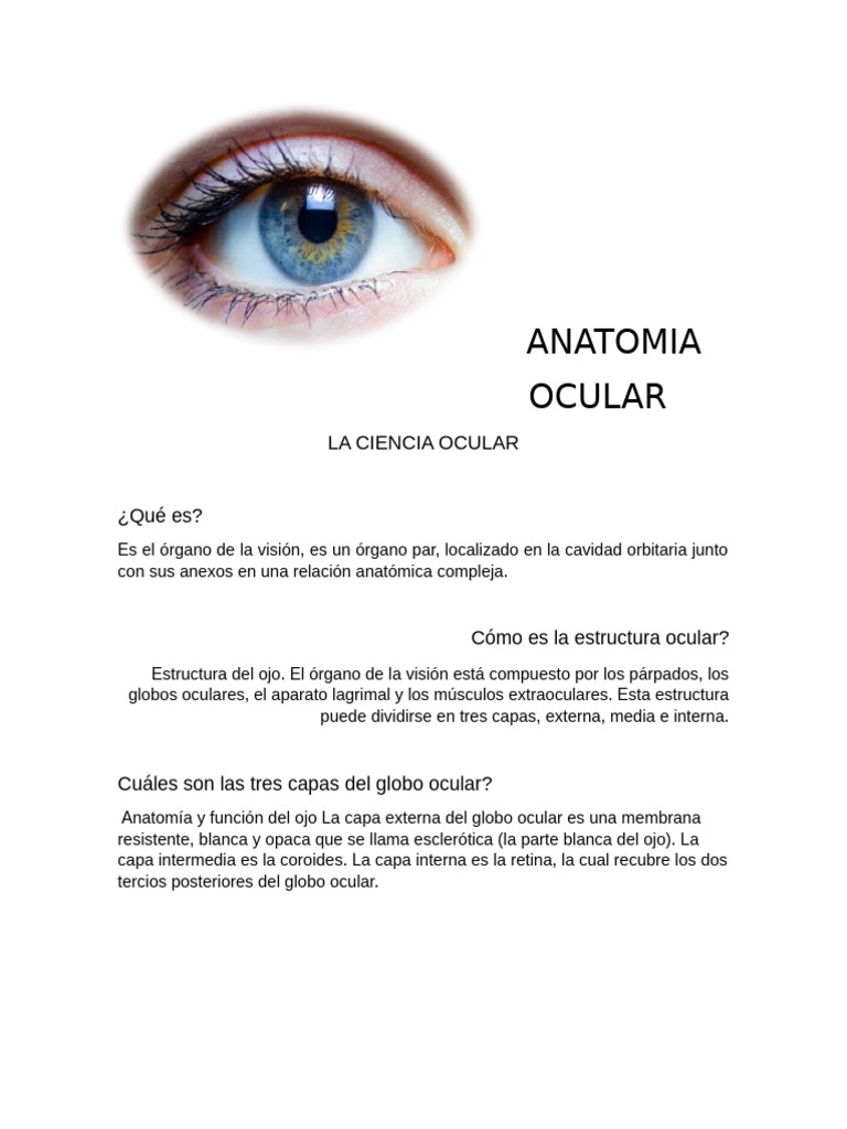 Anatomía y enfermedades oculares | PDF | Ojo humano | Ojo