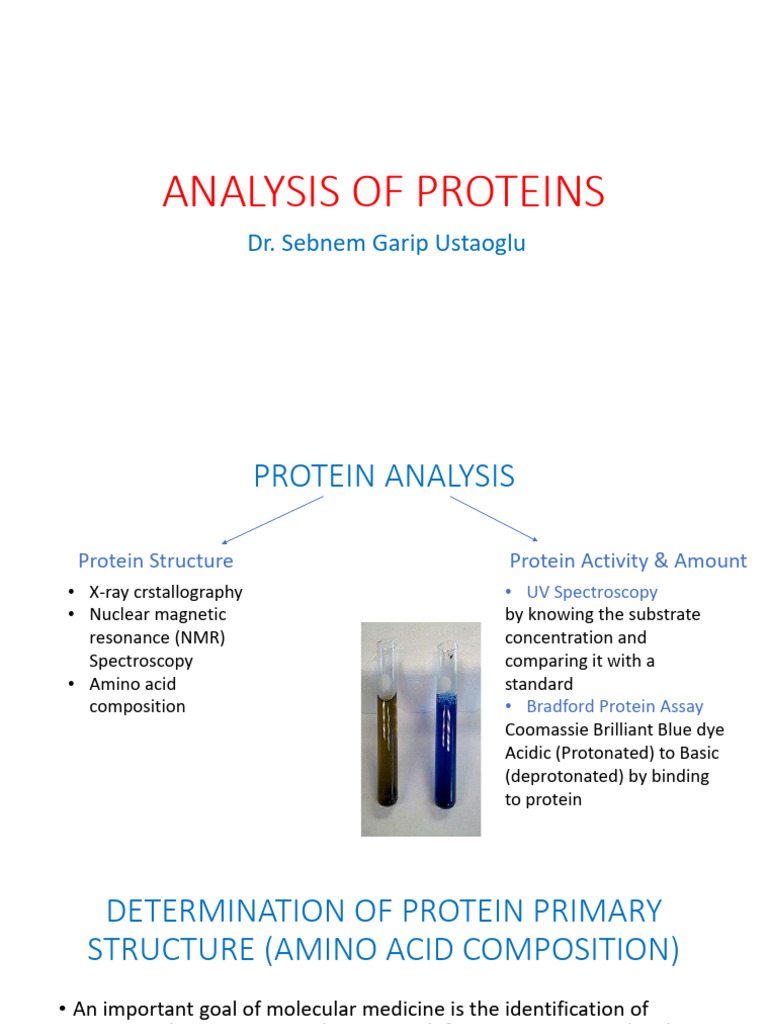 Protein Affinity Chromatography | PDF | Chromatography | Proteins