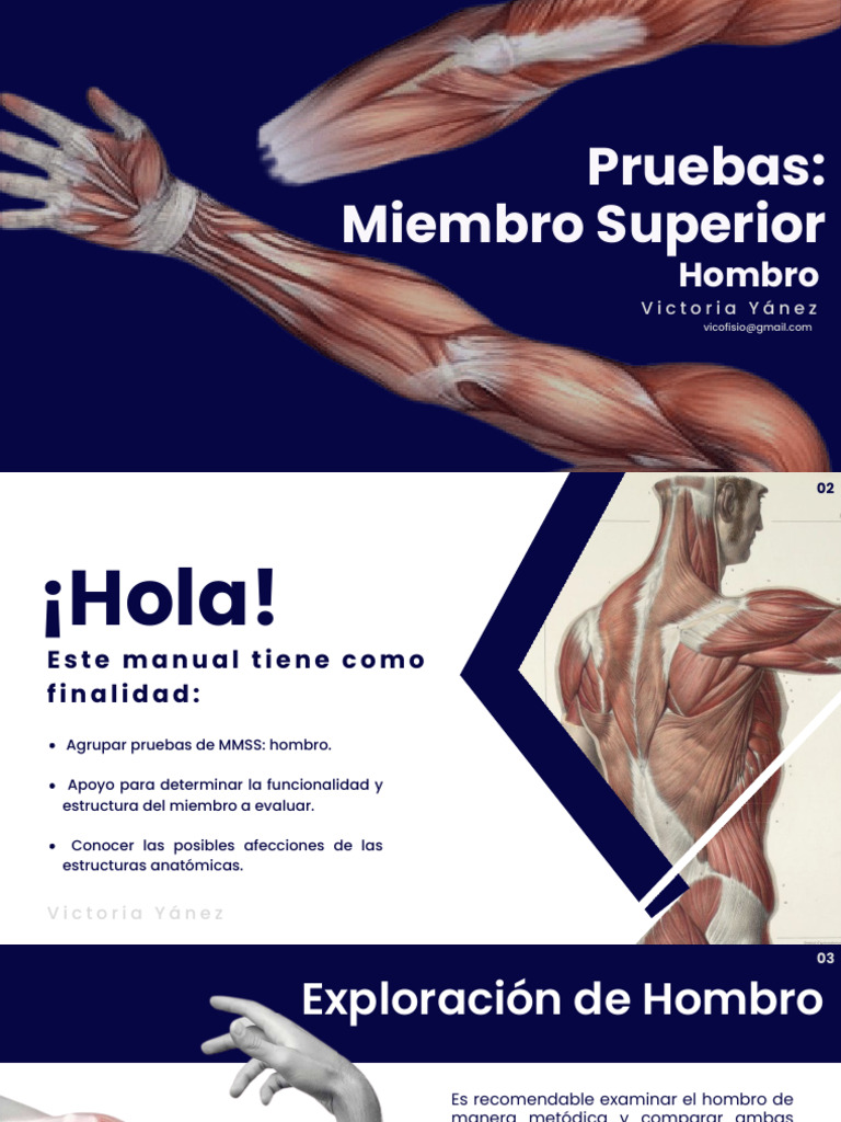 Pruebas Mmss Hombro | PDF | Hombro | Codo