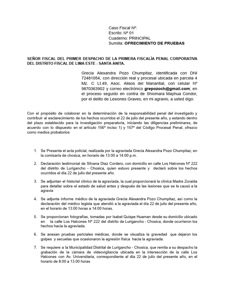 Caso Fiscal Nº_ | PDF | Fiscal | Derecho penal