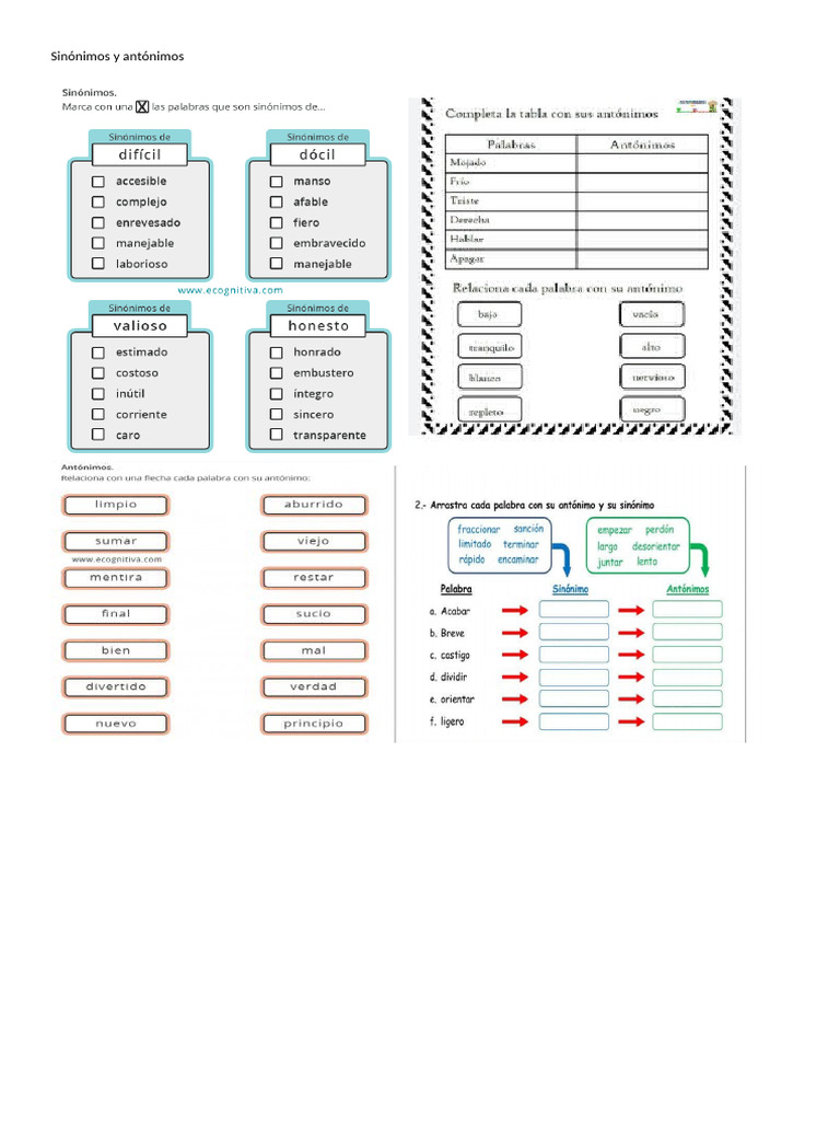 Sinónimos y antónimos | PDF