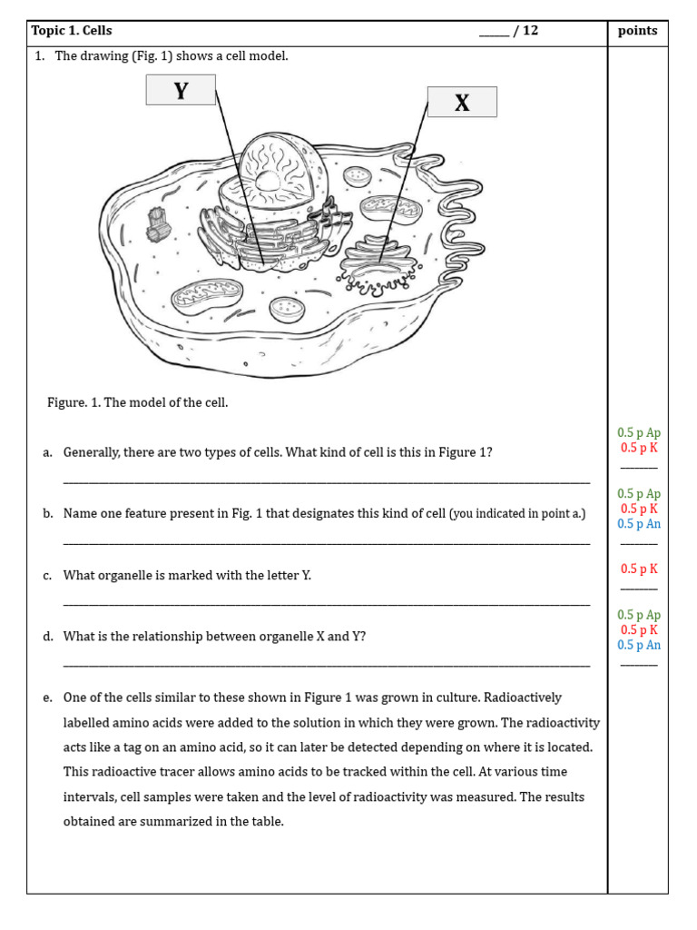 Revision Document - B-Test 29.11.2024 - STUDENT | PDF | Cell Membrane ...