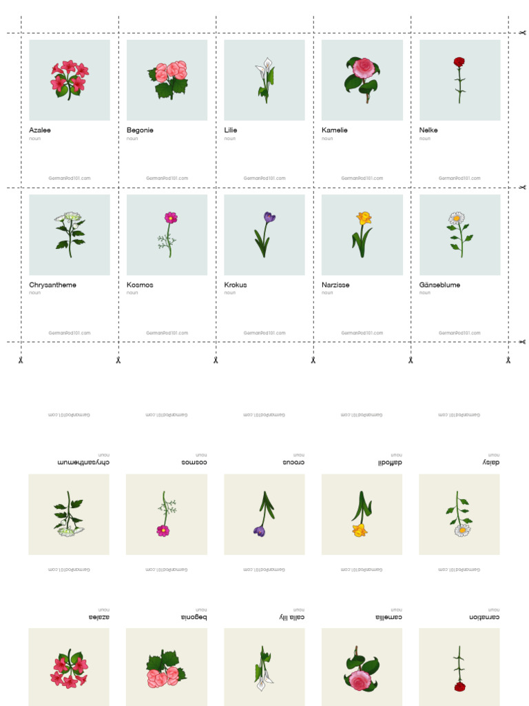 German Flowers | PDF | Garden Plants | Plants