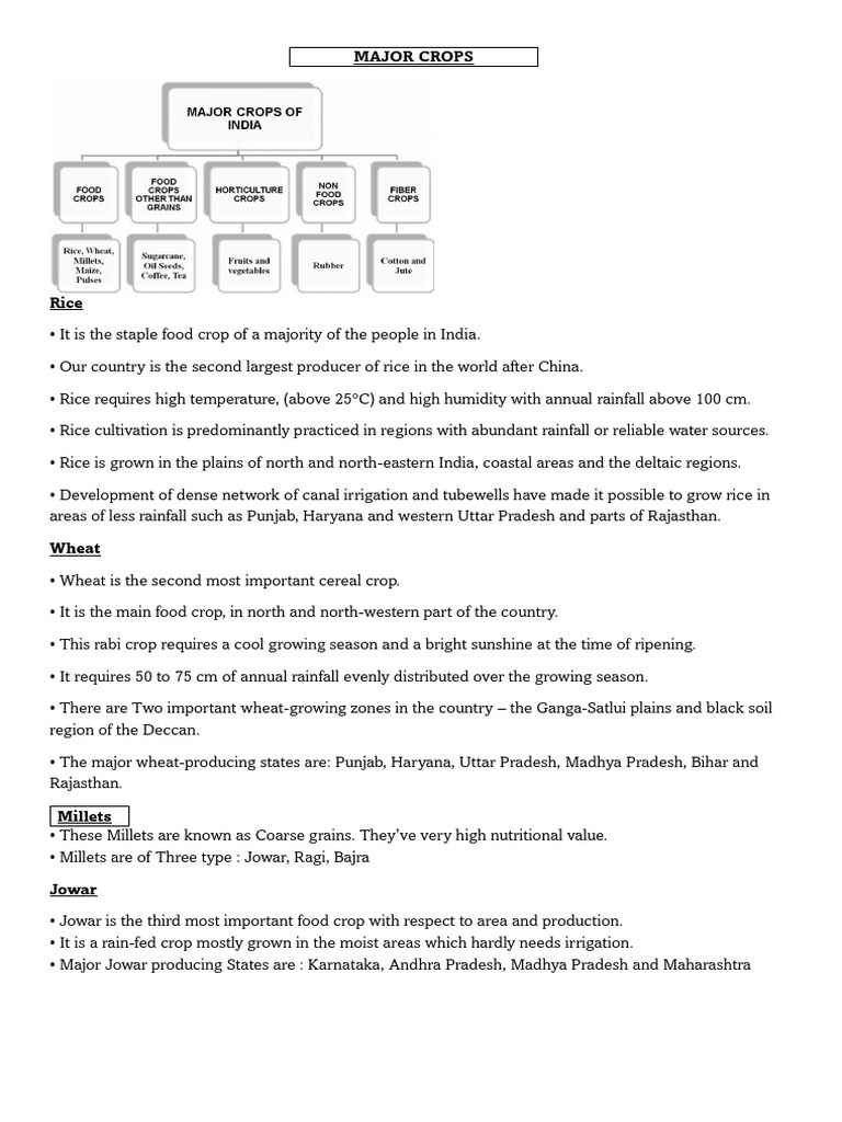 Major Crops (Class 10) | PDF | Legume | Silk