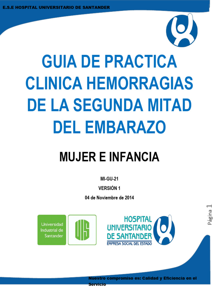 Mi-Gu-21 Guia de Practica Clinica Hemorragias de La Segunda Mitad Del ...