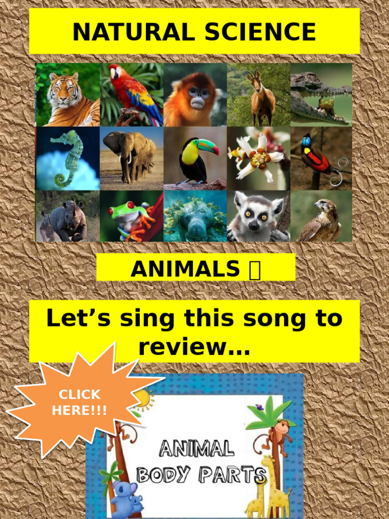Natural Science - Animals | PDF